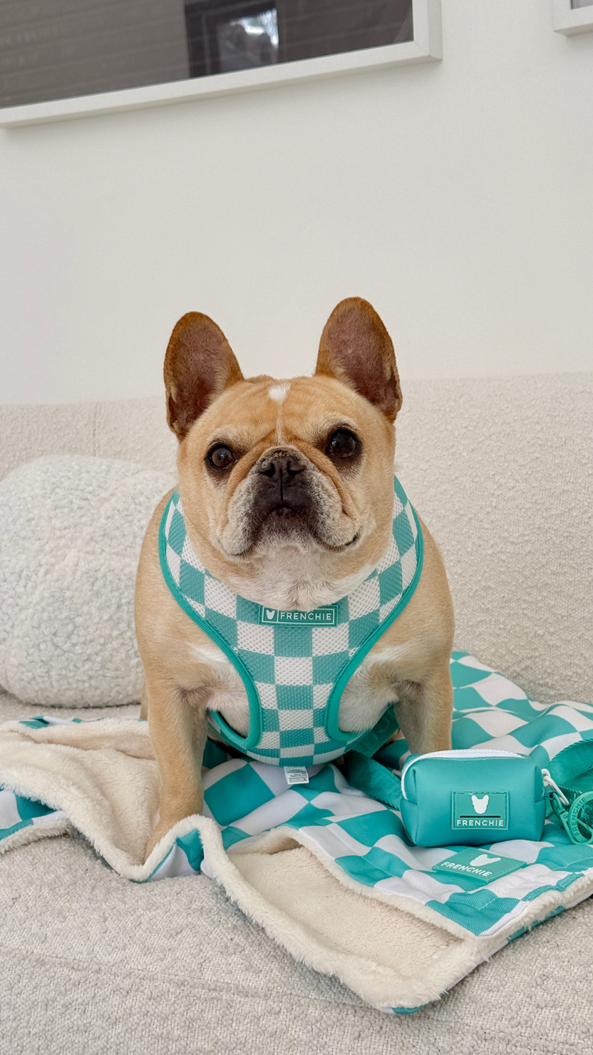 Frenchie Bulldog - (Official Site) Harnesses, Leashes & More