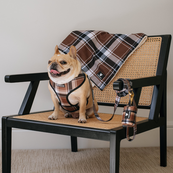 Frenchie Bulldog - (Official Site) Harnesses, Leashes & More