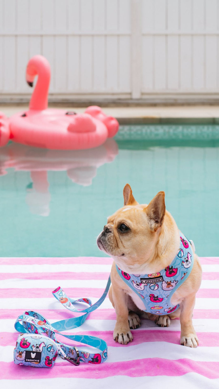 Frenchie Bulldog - (Official Site) Harnesses, Leashes & More