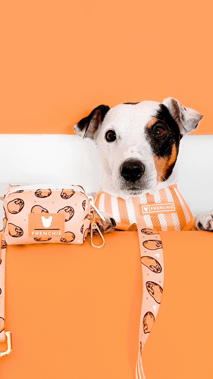 Frenchie Bulldog - (Official Site) Harnesses, Leashes & More
