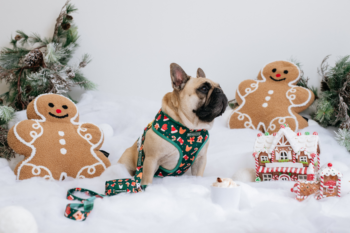 Frenchie Bulldog - (Official Site) Harnesses, Leashes & More