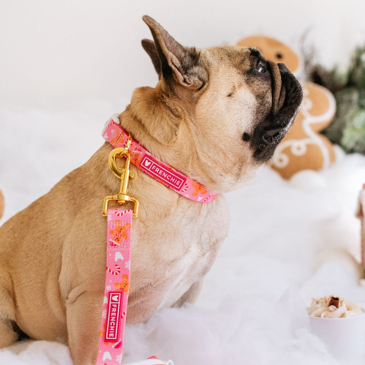 Sale | Frenchie Bulldog Com