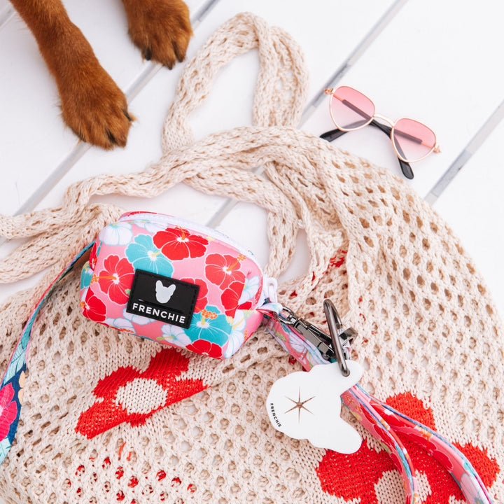 Sale | Frenchie Bulldog Com – Page 2