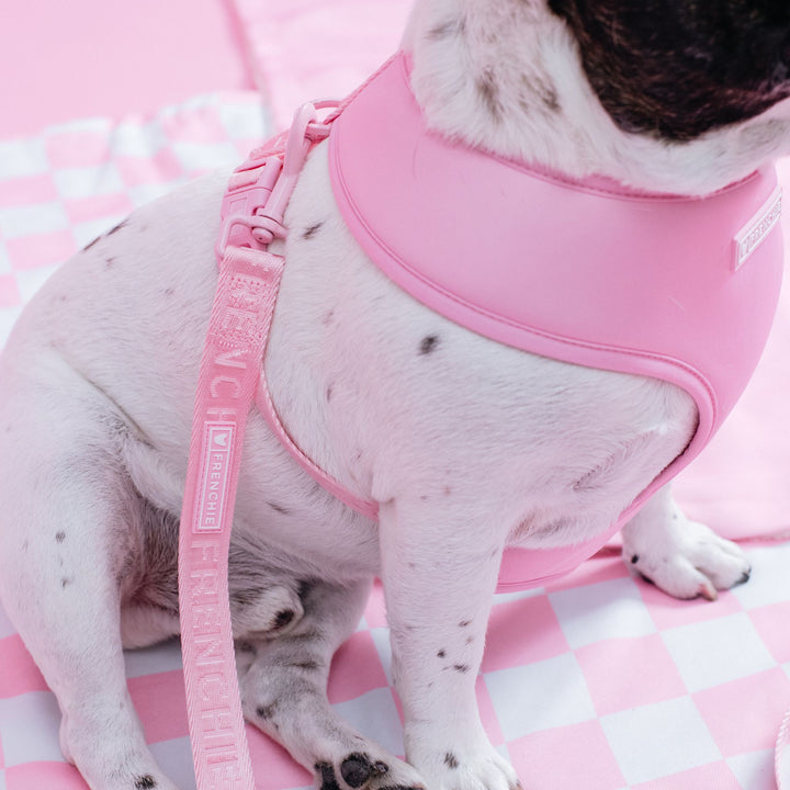 Frenchie Duo Reversible Harness - Solid Pink Bubblegum – Frenchie Bulldog