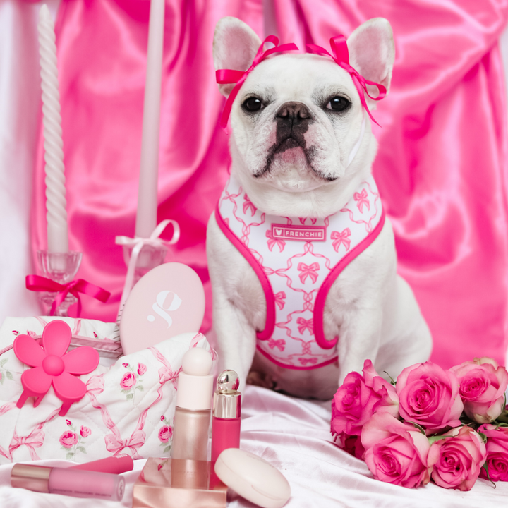 Frenchie Bulldog - (Official Site) Harnesses, Leashes & More