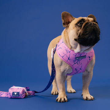 Frenchie Bulldog - (Official Site) Harnesses, Leashes & More