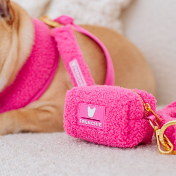 Accessories for Bulldogs – Frenchie Bulldog