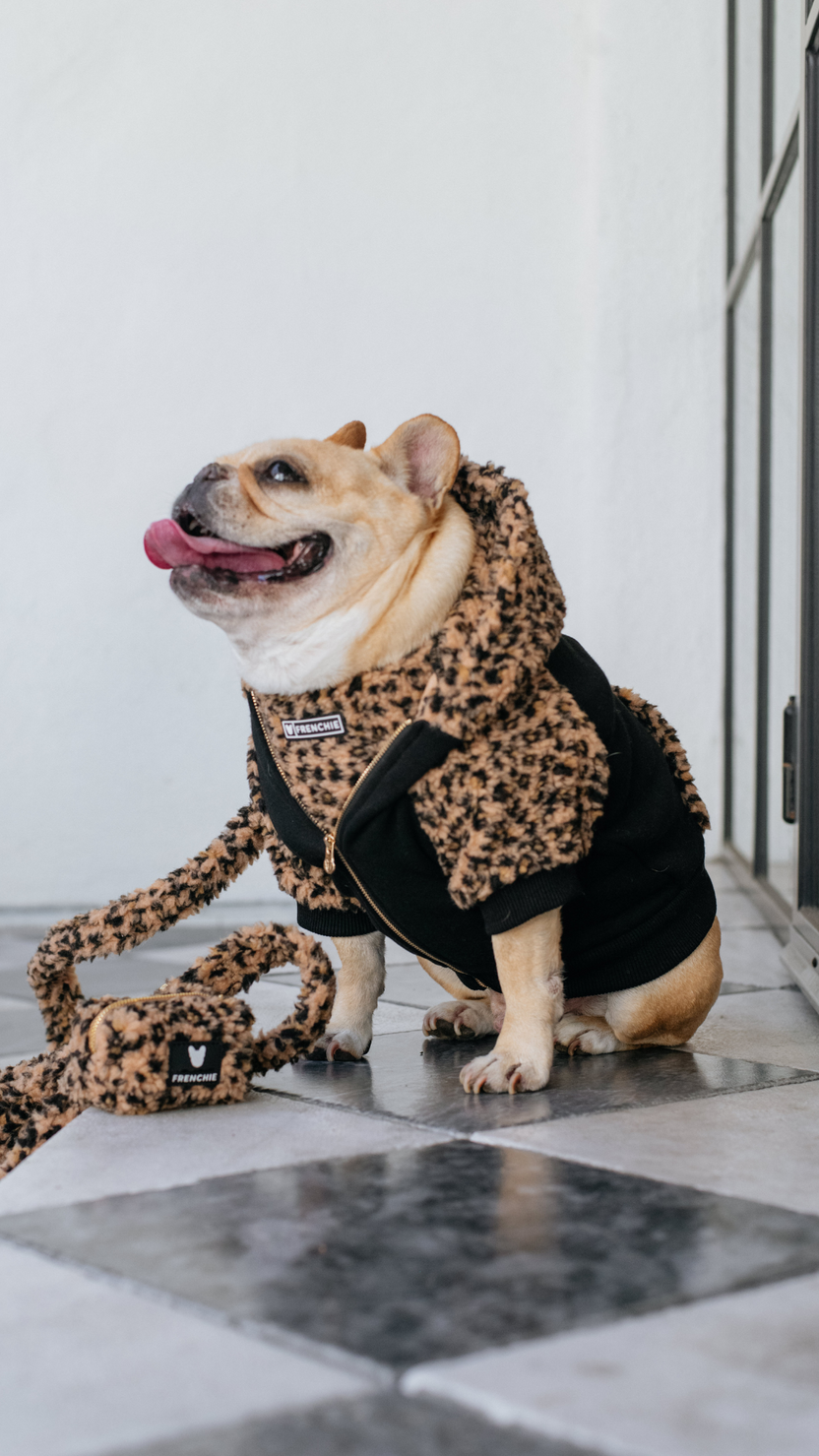 Frenchie Bulldog - (Official Site) Harnesses, Leashes & More