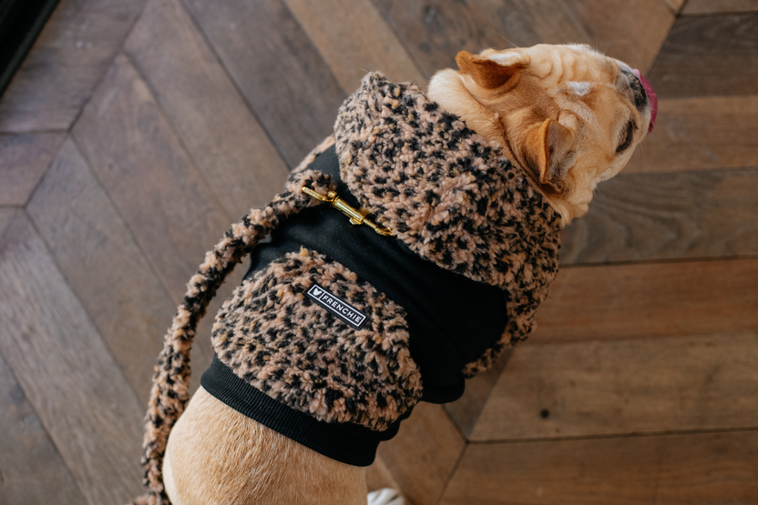 Frenchie Bulldog - (Official Site) Harnesses, Leashes & More