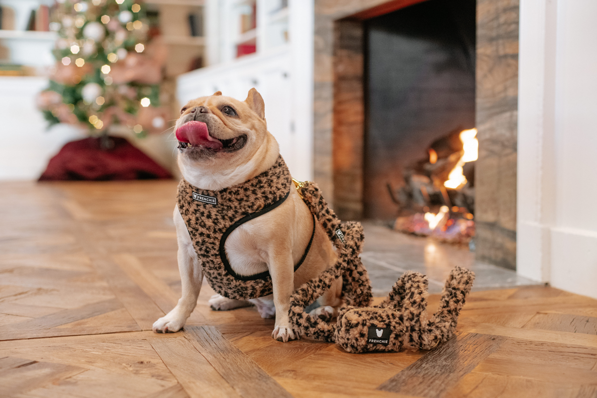 Frenchie Bulldog - (Official Site) Harnesses, Leashes & More