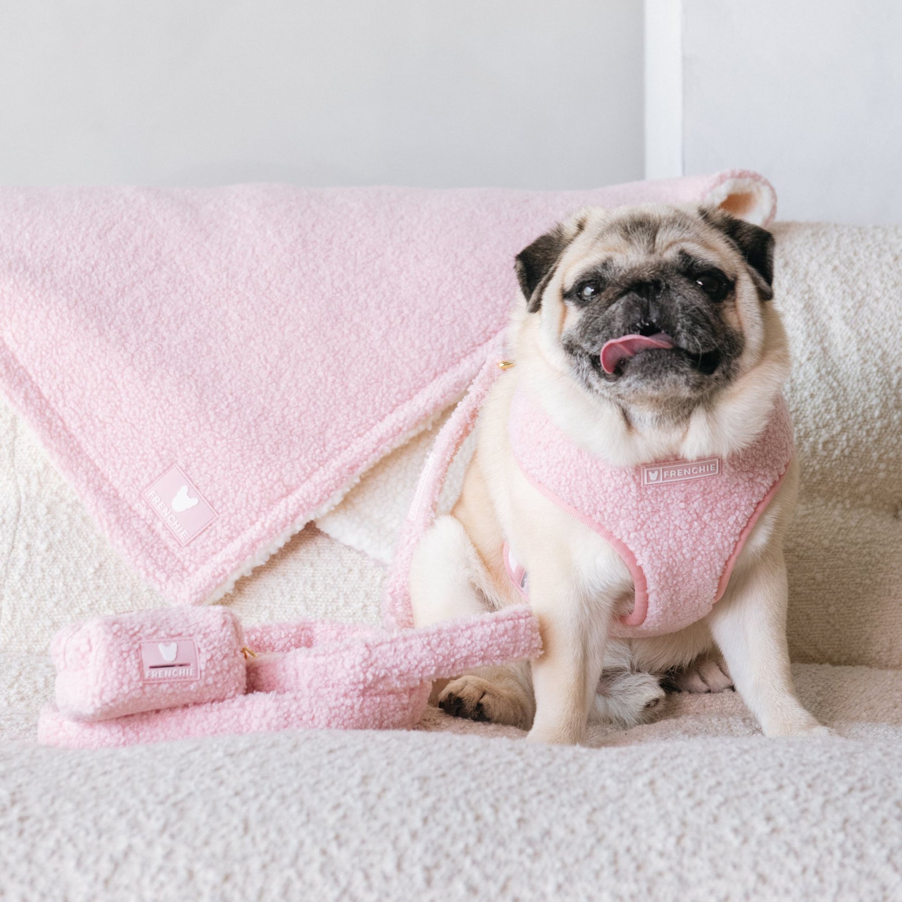 Frenchie Duo Reversible Harness - Teddy Pink – Frenchie Bulldog