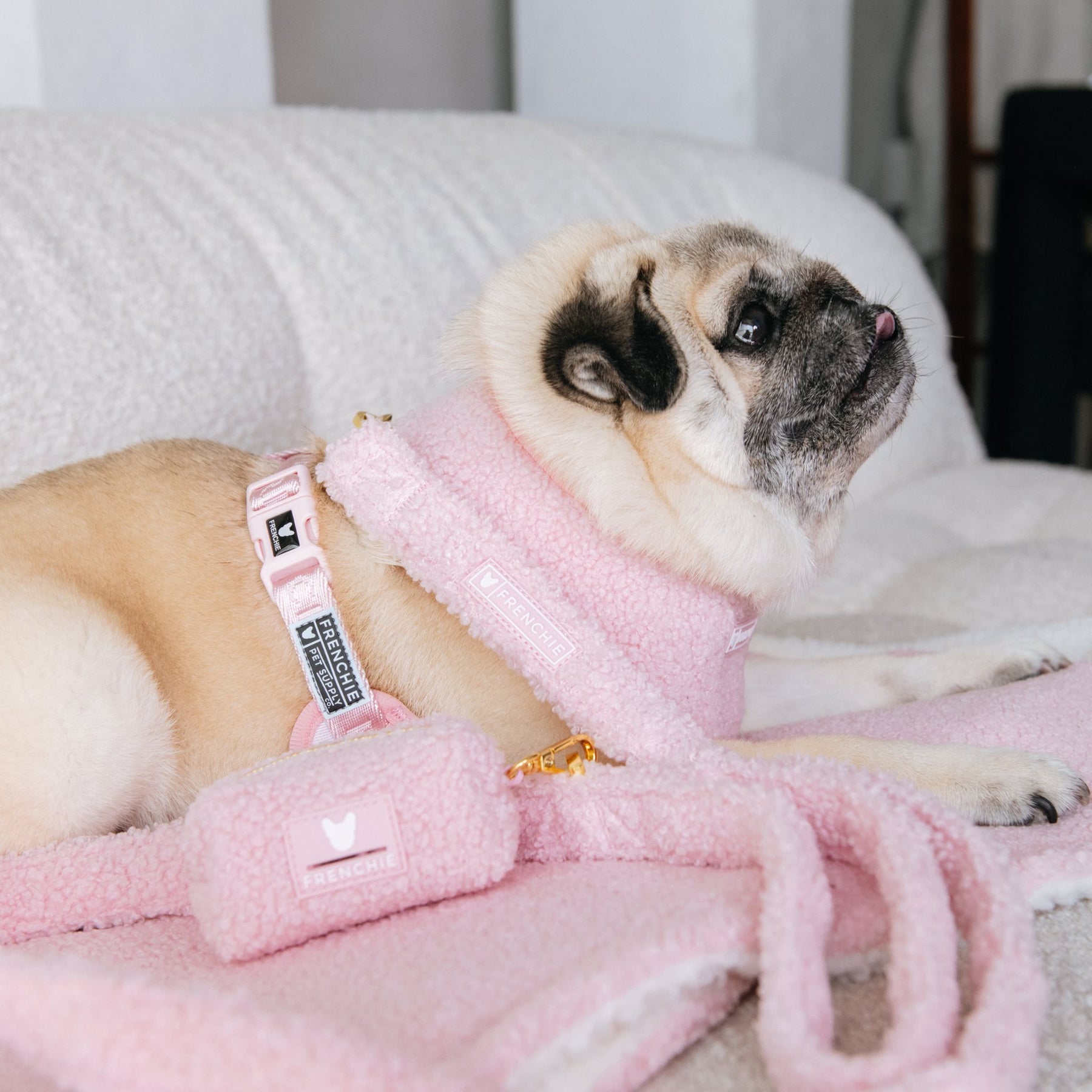 Frenchie Duo Reversible Harness - Teddy Pink – Frenchie Bulldog