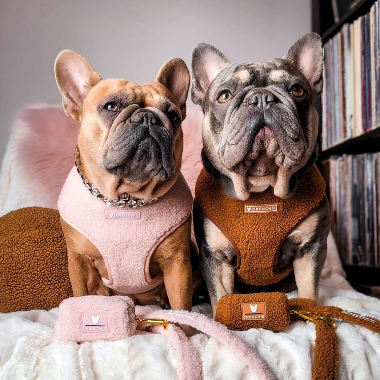 French Bulldog Neck Size Chart | Frenchie Pet Supply Sizing - Frenchie ...