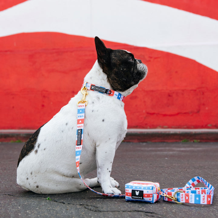 Comfort Collar | Best Collars for French Bulldogs - Frenchie Bulldog