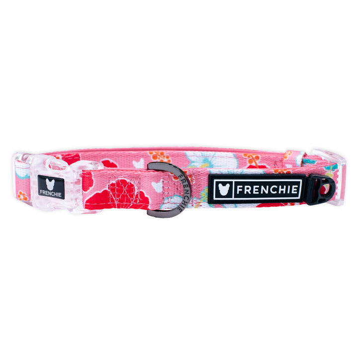 Comfort Collar | Best Collars for French Bulldogs - Frenchie Bulldog