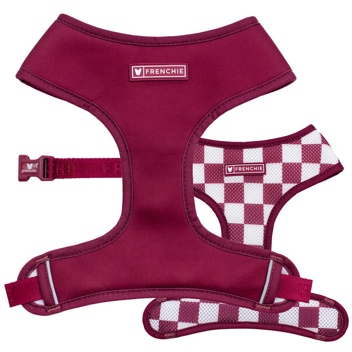Frenchie Duo Reversible Harness - Frenchie Bulldog