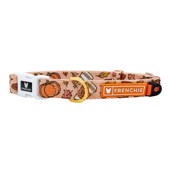 Comfort Collar | Best Collars for French Bulldogs - Frenchie Bulldog