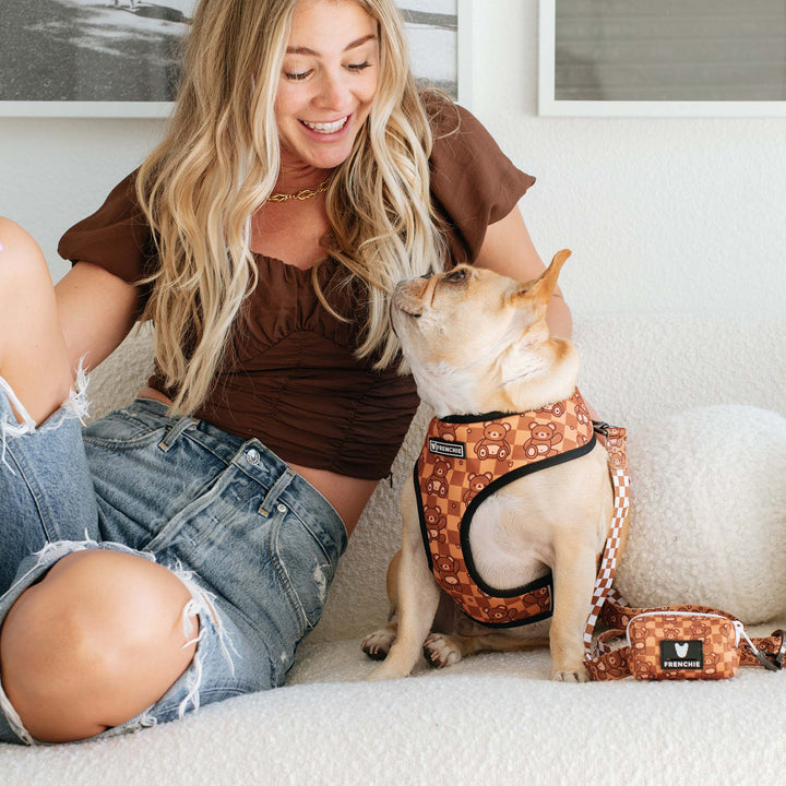 Frenchie Duo Reversible Harness - Frenchie Bulldog
