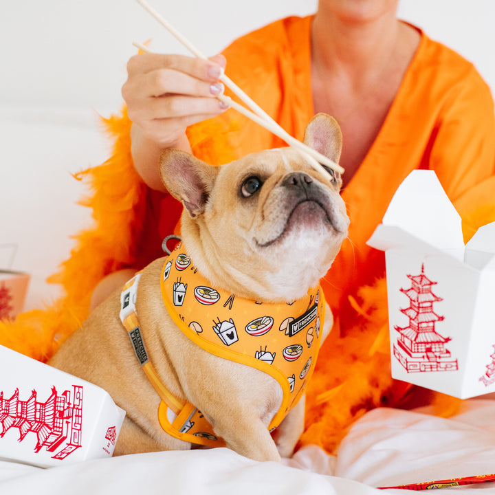 Sale | Frenchie Bulldog Com – Page 2