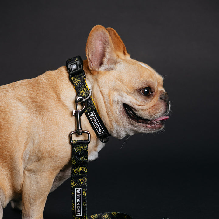 Sale | Frenchie Bulldog Com – Page 3